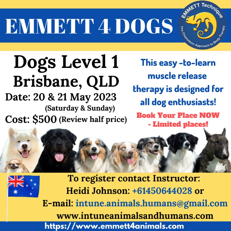 Dog Level 1 - Australia- Brisbane, QLD- 20th-21st May 2023-Level 1 ...