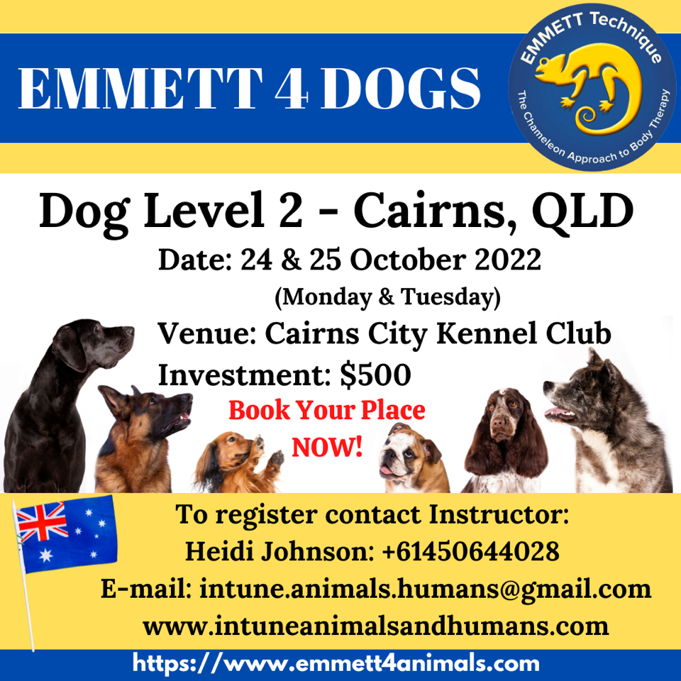Dog Level 2- Aust - Qld - Cairns- 24 & 25 October 2022-Level 2 - Emmett ...