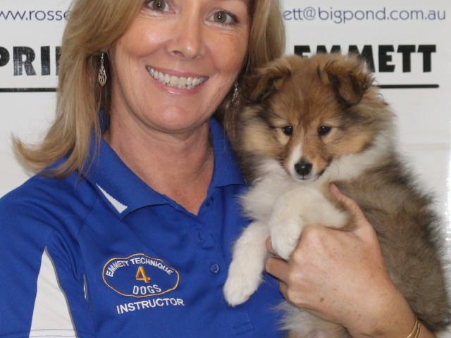 Sharon French's Instagram, Twitter & Facebook on IDCrawl